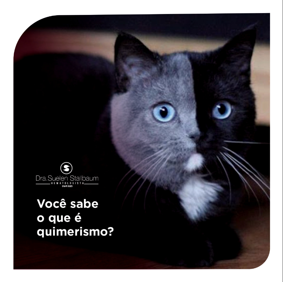 Você sabe o que é quimerismo? - Dra. Suellen Stallbaum